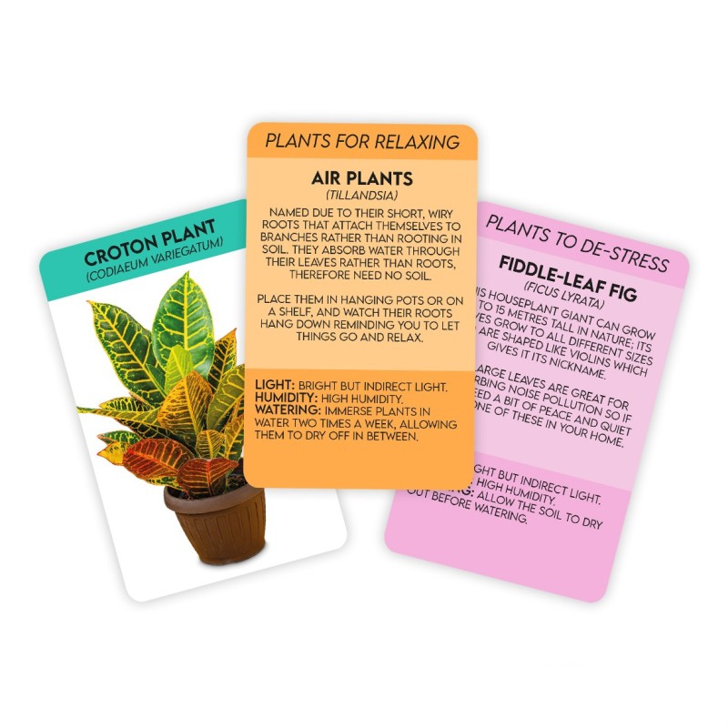 100 Positive Plants Card | DadShop