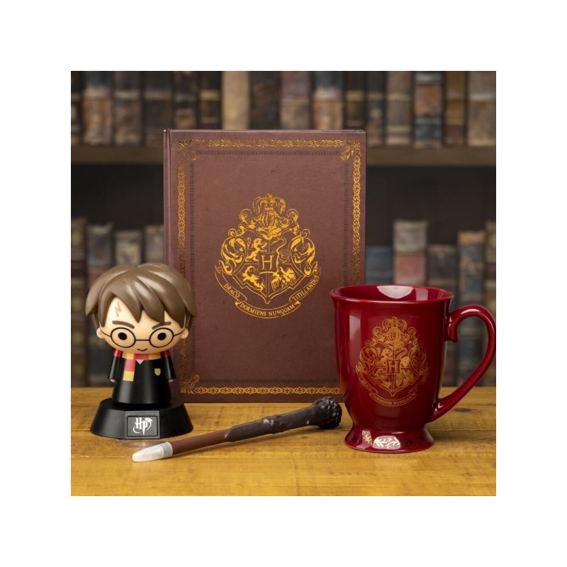 Harry Potter | DadShop