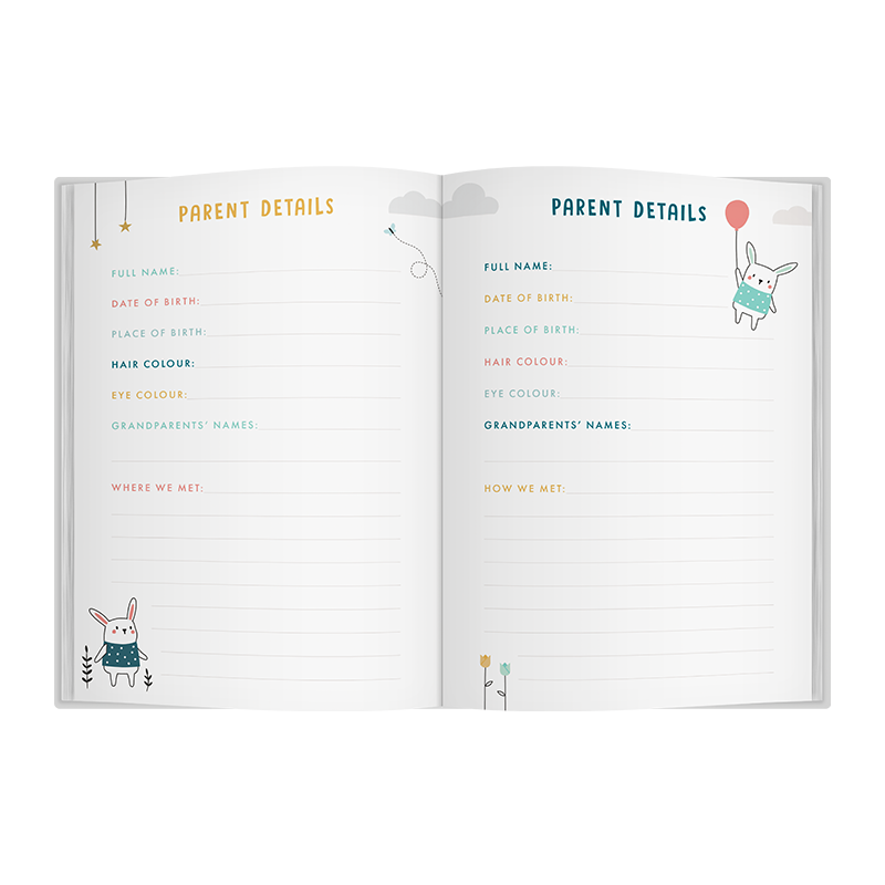 Bump to Birthday Pregnancy & First Year Journal | DadShop