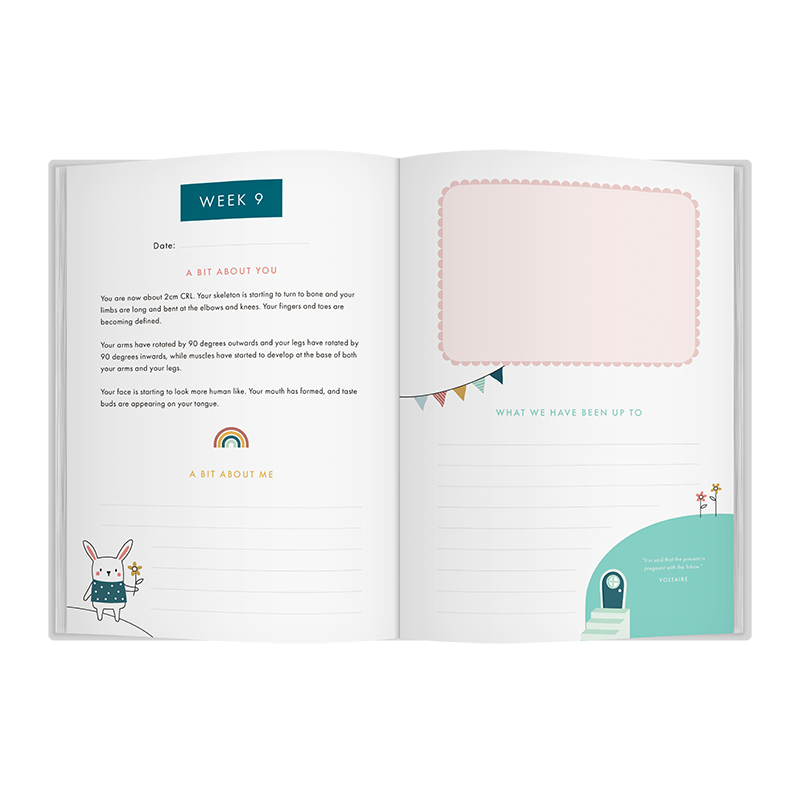 Bump to Birthday Pregnancy & First Year Journal | DadShop