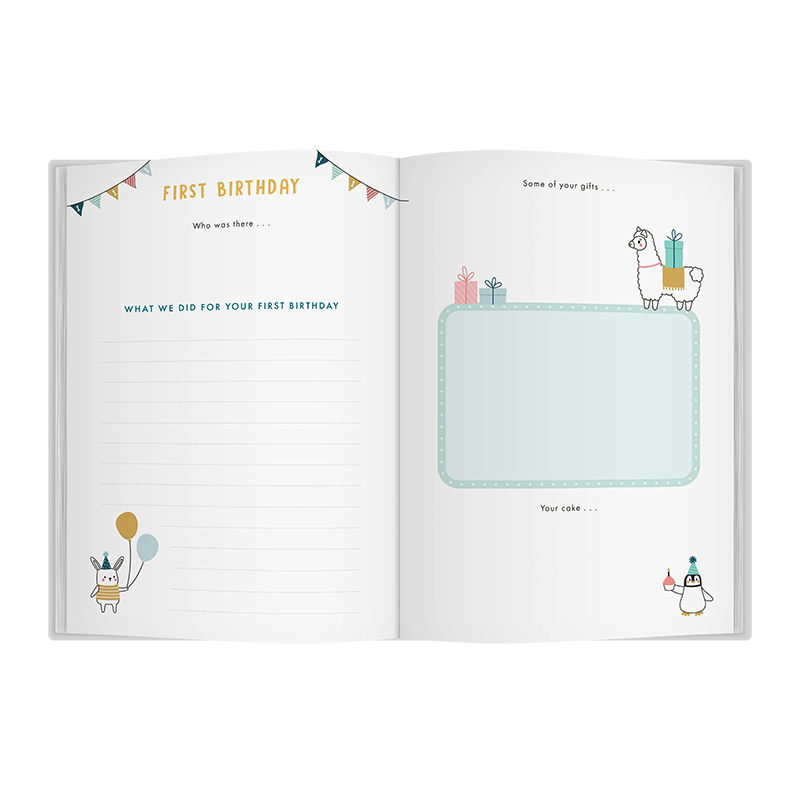 Bump to Birthday Pregnancy & First Year Journal | DadShop
