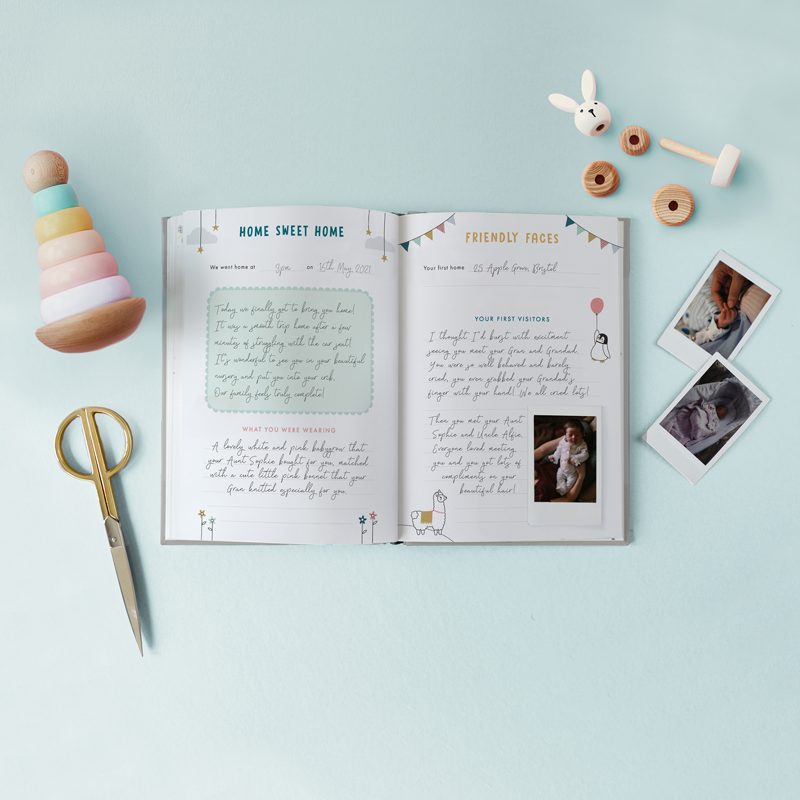 Bump to Birthday Pregnancy & First Year Journal | DadShop