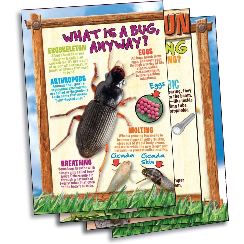 Bug Playground - Insect Inspector Lab | DadShop Bug Playground - Insect Inspector Lab | DadShop