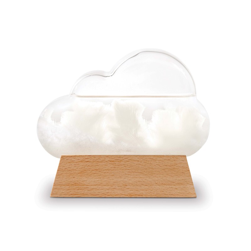 Cloud Weather Station | DadShop