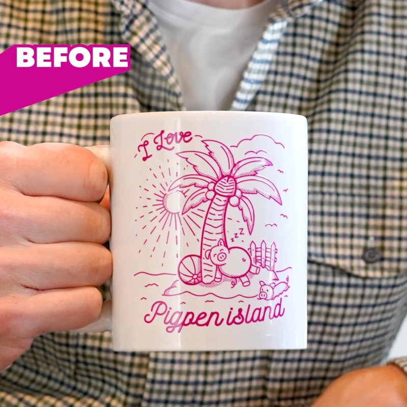Rude Heat Change Mug – Pigpen Island | DadShop