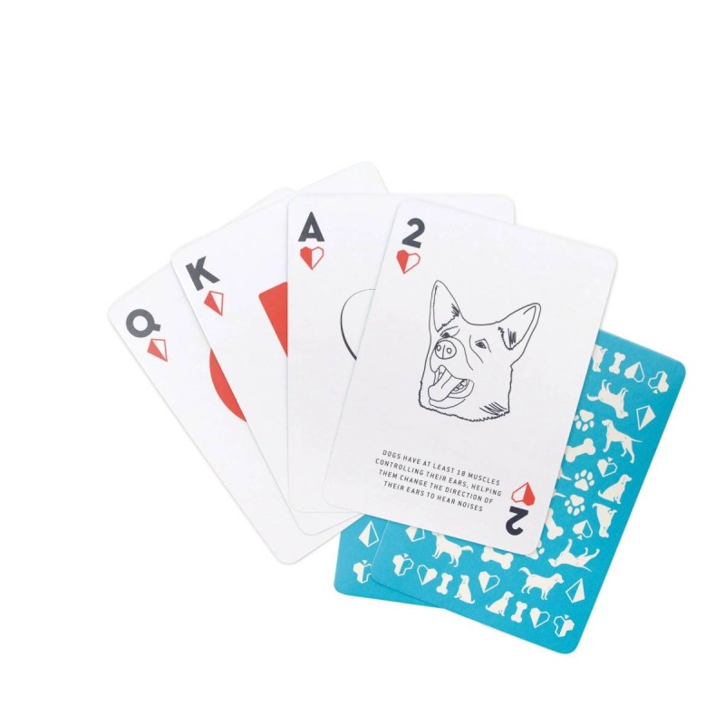 Dog Fact Playing Cards by Field + Wander | DadShop
