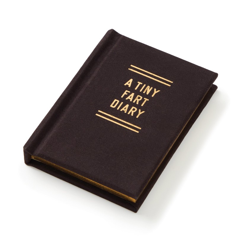 A Tiny Fart Diary Dadshop
